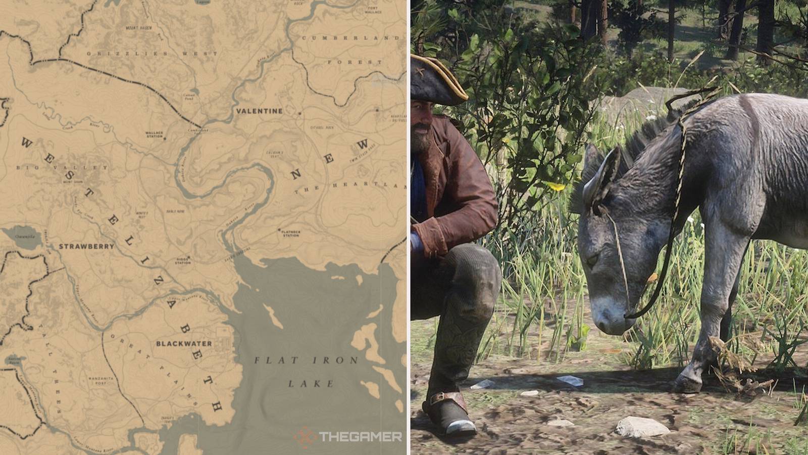 RDO: Where To Find Donkeys