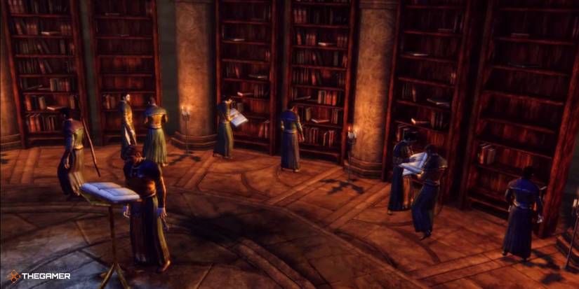 Everything You Need To Know About The Circles Of Magi In Dragon Age