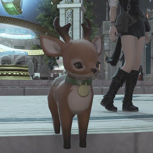 Final Fantasy XIV: Guide To All Retainer Venture Minions