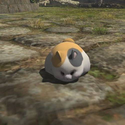 Guide To All Minions You Can Get From Retainer Ventures In FFXIV