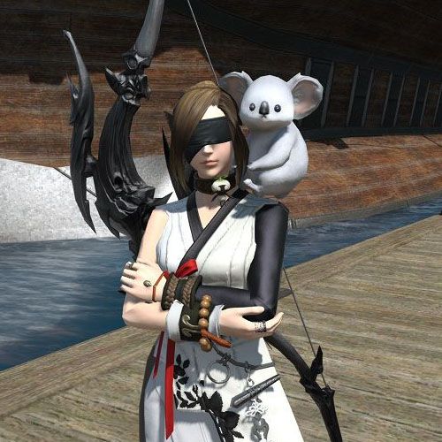 Final Fantasy XIV: Guide To All Retainer Venture Minions