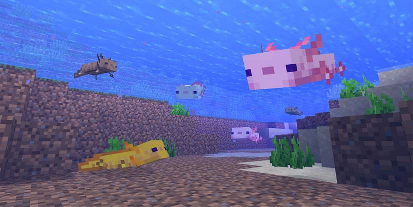 Minecraft: Every Breedable Mob, Ranked