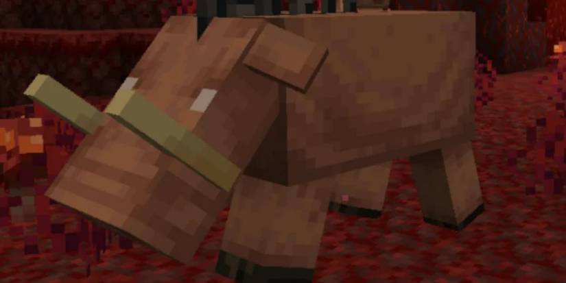 Minecraft: Every Breedable Mob, Ranked