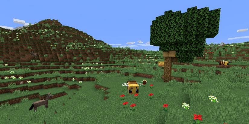 Best Minecraft Biomes For Early Game Bases