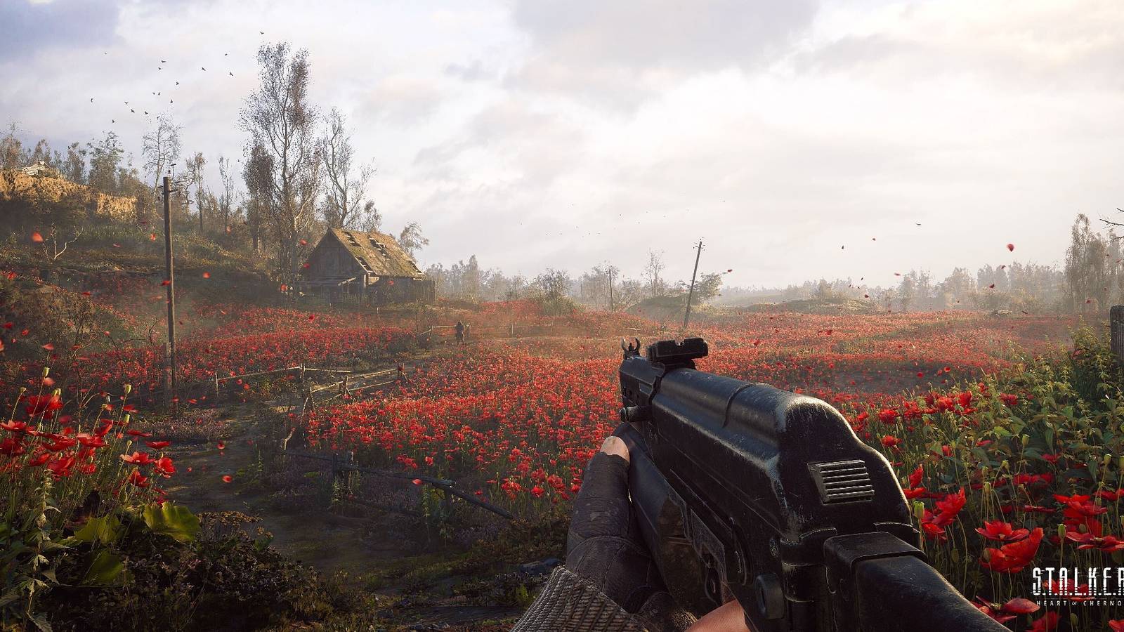 Stalker 2 Devs Cancel All NFT Content Following Fan Backlash