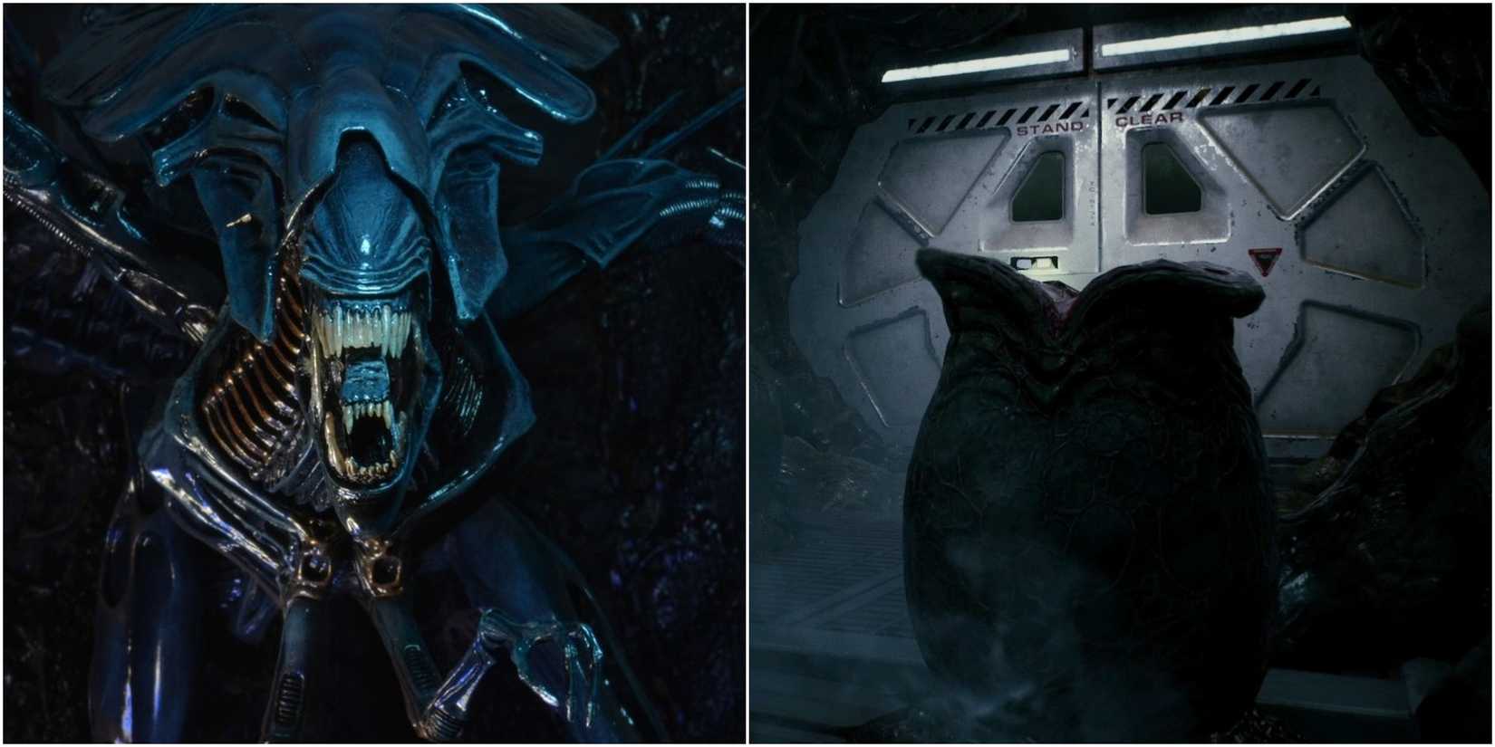 Alien: Xenomorph Life Cycle, Explained