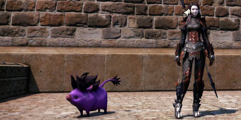 The Cutest Minions In Final Fantasy 14