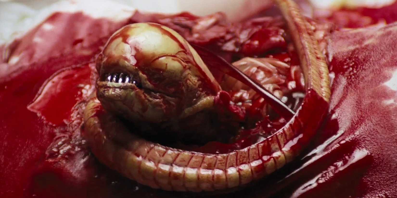 Alien: Xenomorph Life Cycle, Explained