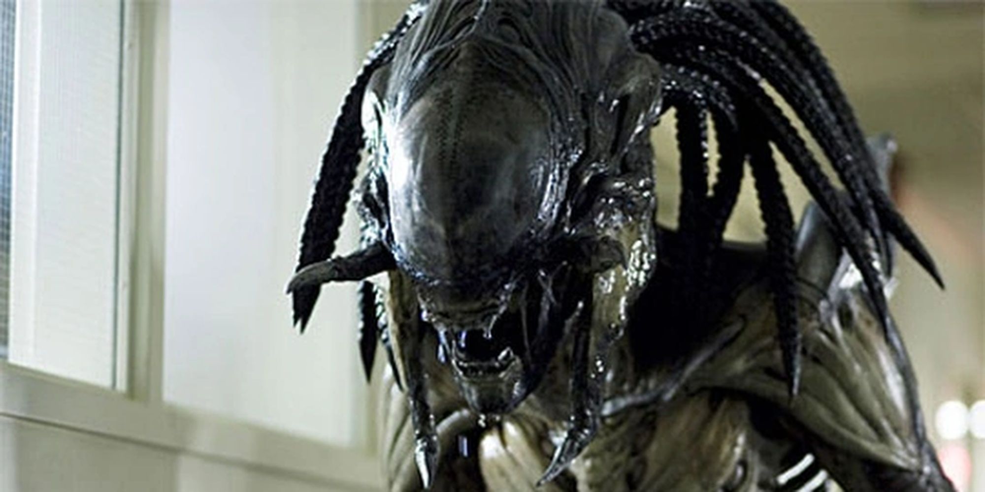 Alien: Xenomorph Life Cycle, Explained