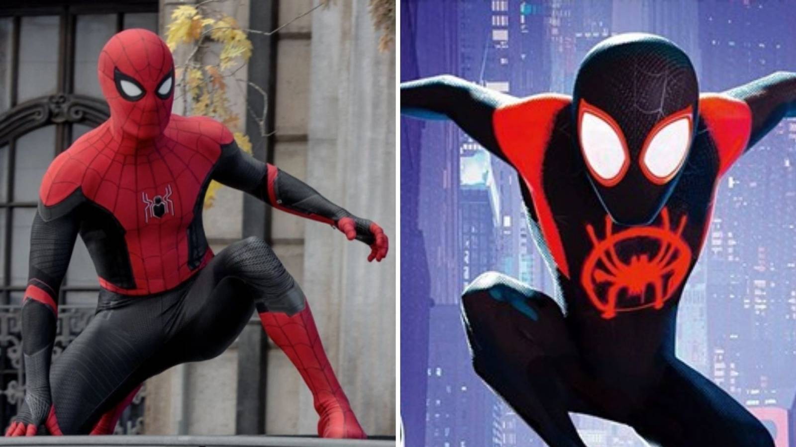 Spider-Man: Brand New Day And Spider-Man: Beyond The Spider-Verse ...