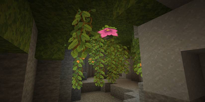 How To Obtain And Use Spore Blossoms In Minecraft