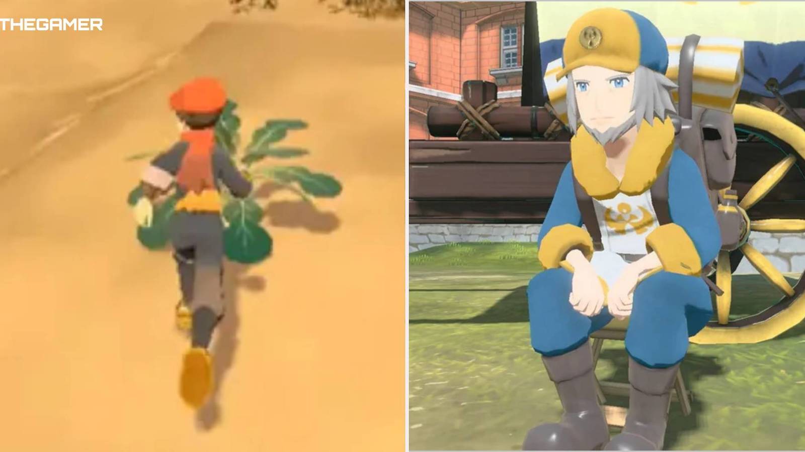 Where To Find Sand Radishes In Pokemon Legends: Arceus