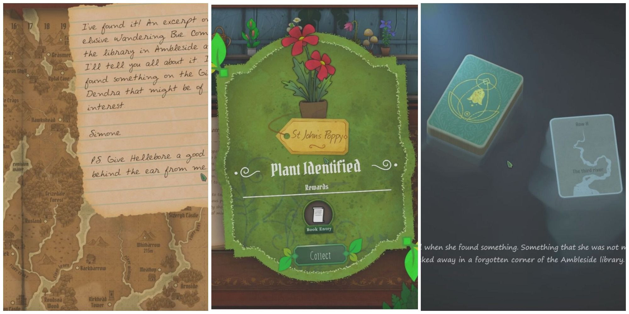 Strange Horticulture: 8 Beginner Tips And Tricks