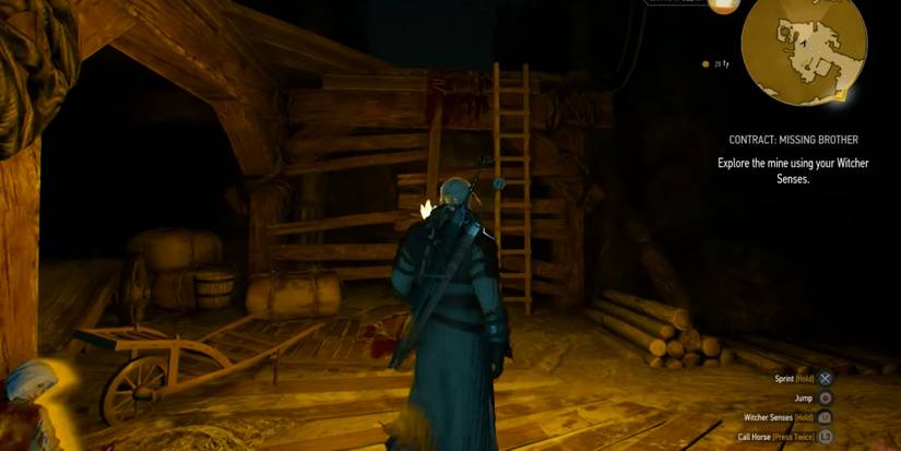 How To Defeat Harrisi In The Witcher 3