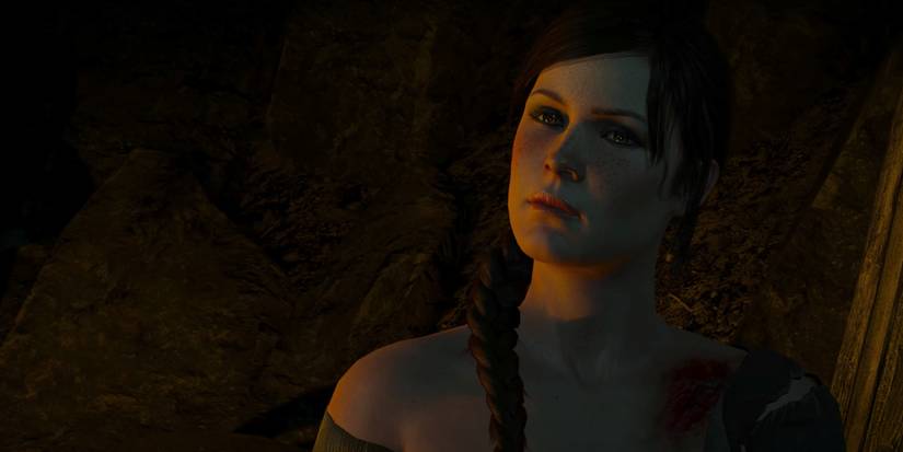 How To Defeat Harrisi In The Witcher 3