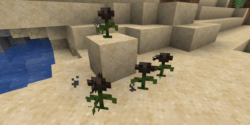 Minecraft: Things You Didn’t Know About The Wither