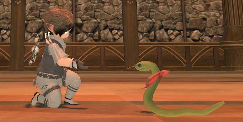 Final Fantasy 14: Guide To All Minions In Dungeons
