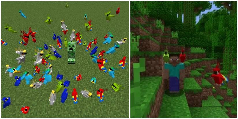 How To Breed And Tame Parrots In Minecraft