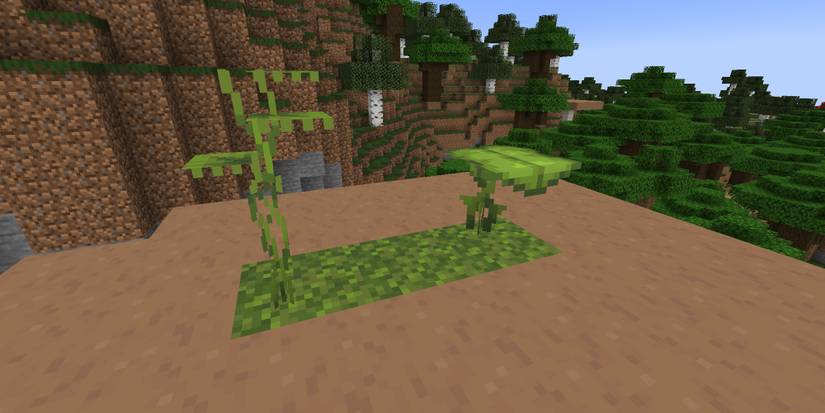 Where To Find A Dripleaf In Minecraft