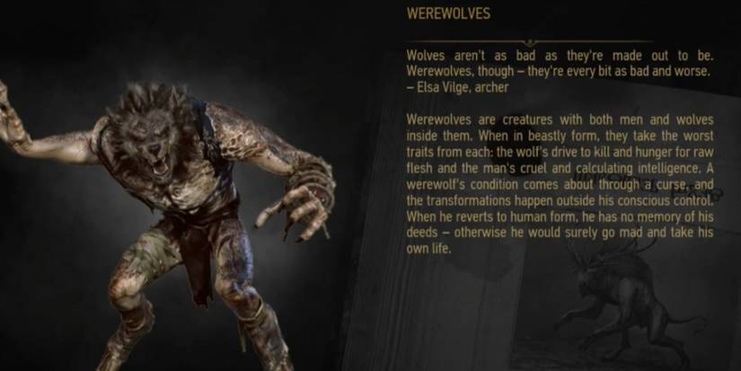 witcher 3 werewolves