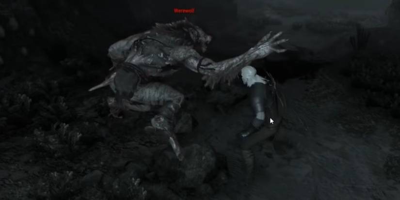 witcher 3 werewolves