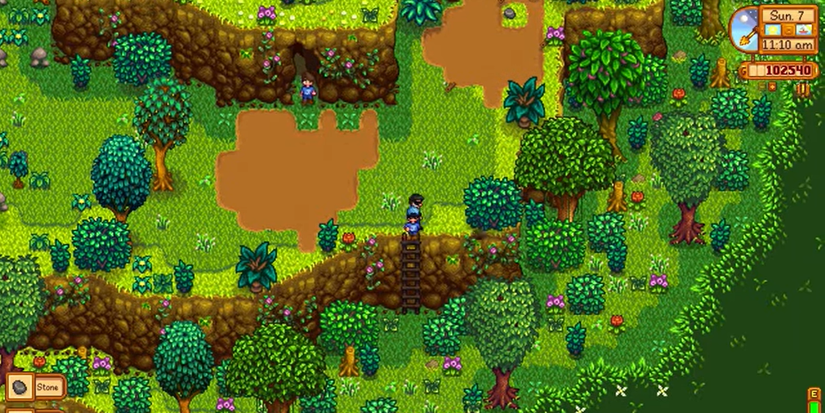 Stardew Valley Expanded: Grandpa’s Farm Vs. Immersive Farm