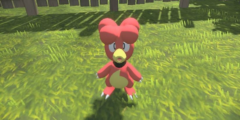 The Best Duck Pokemon, Ranked