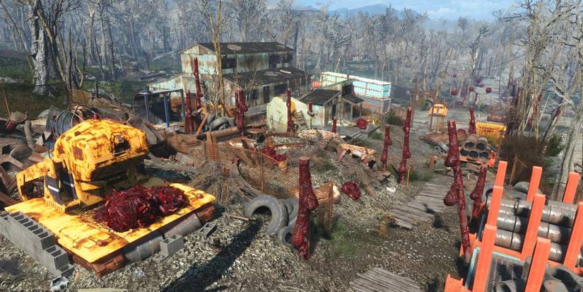 Fallout: Super Mutants, Explained