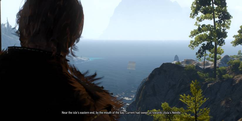 Should You Trick Or Fight The Hym In The Witcher 3?