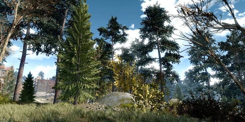 Fallout: The Great War, Explained