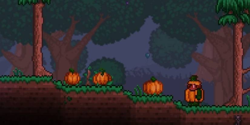 Rarest Drops You Need To Collect In Terraria