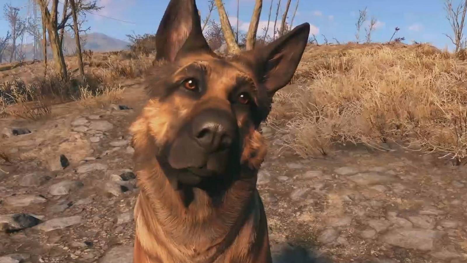 Scott Bennie, Original Fallout Writer Who Named Dogmeat, Has Died