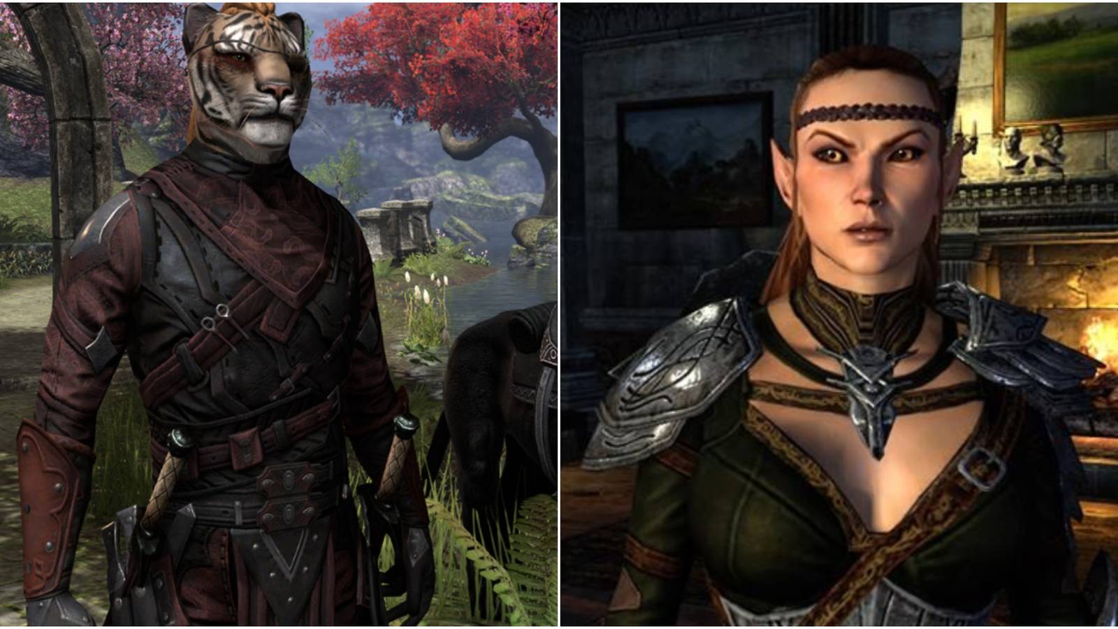 How To Pick Your Race In The Elder Scrolls Online