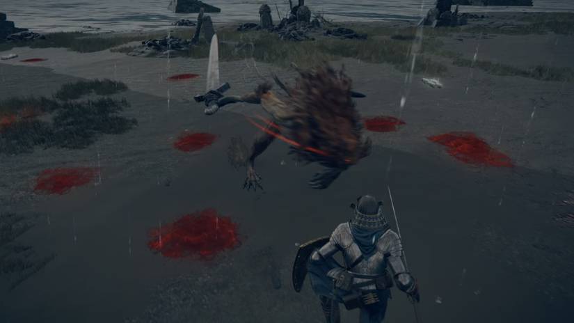 Elden Ring: Leonine Misbegotten Boss Strategy