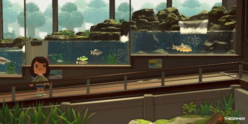 Guide To Fishing: Locations, Shadows, And Fish Prices In ACNH