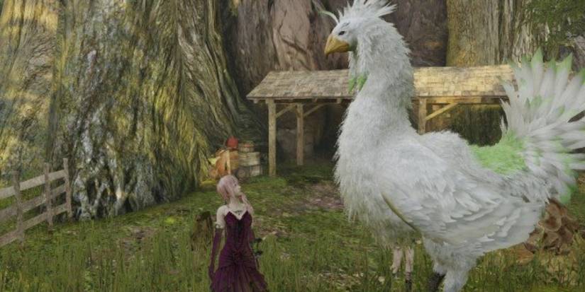 chocobo ff13 2