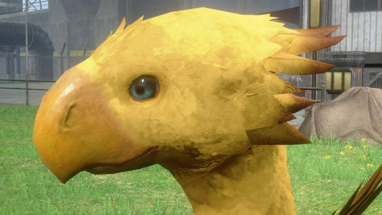 Final Fantasy: The Role Of Chocobos In Each Game