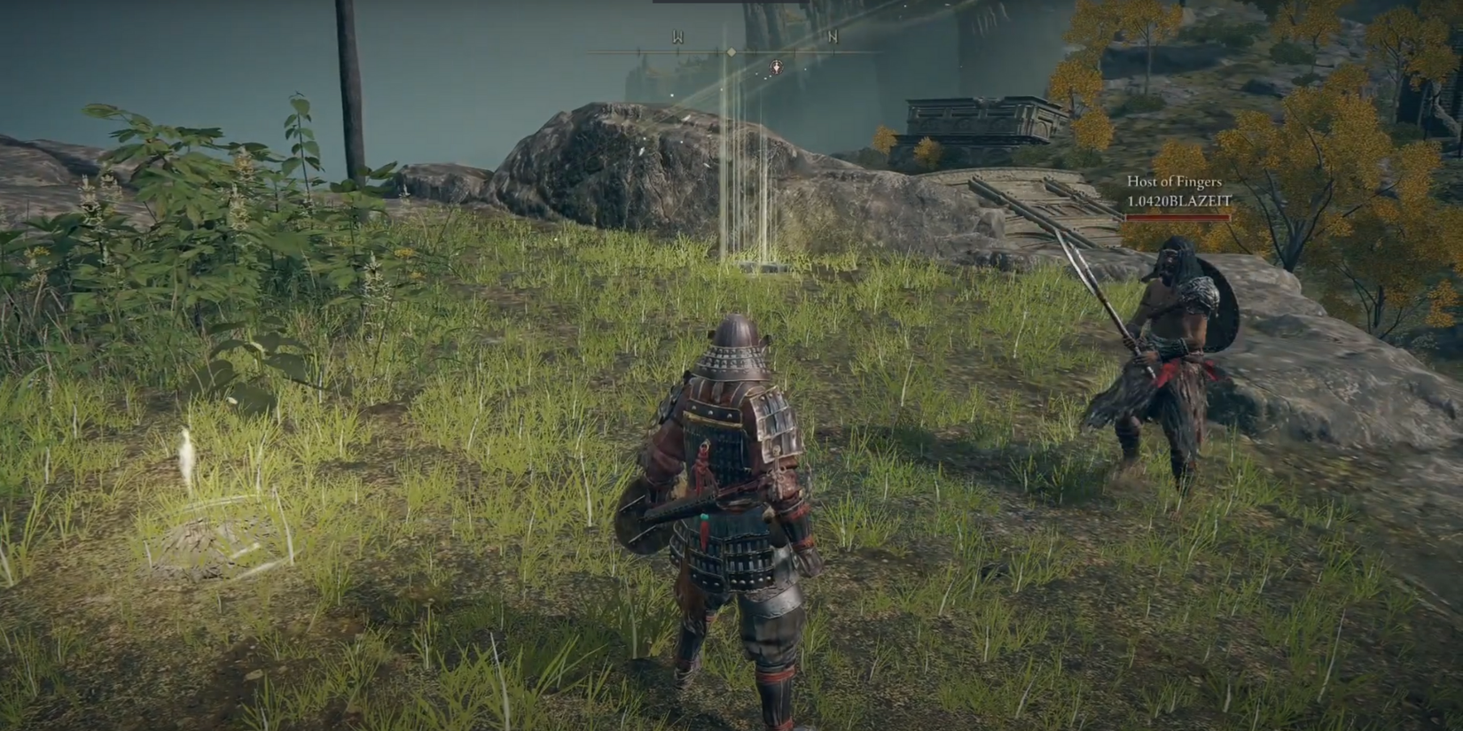 Elden Ring's Seamless Co-Op Mod Currently Down