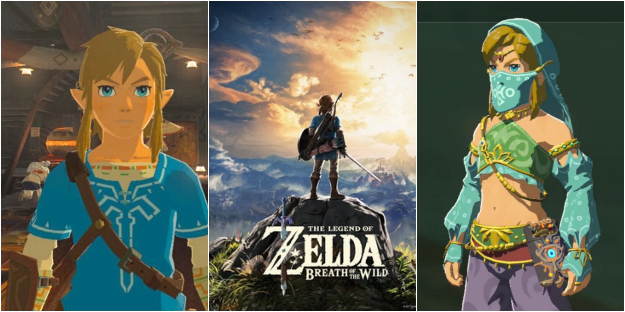 Breath Of The Wild - Link's Funniest Dialogue Options