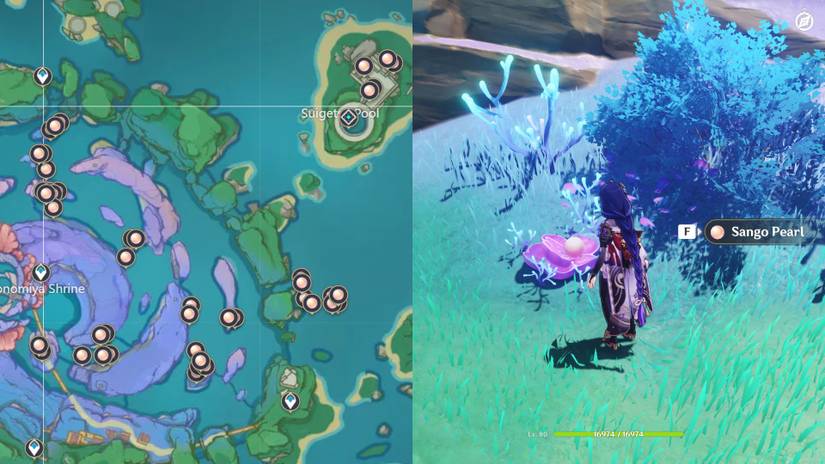 Where To Find Inazuma Specialties In Genshin Impact
