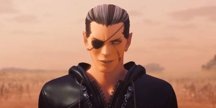 The Origins Of Organization XIII In Kingdom Hearts, Explained