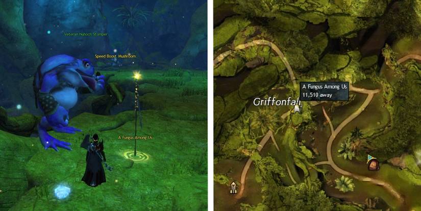 Guild Wars 2: The 7 Best Ways To Farm Experience