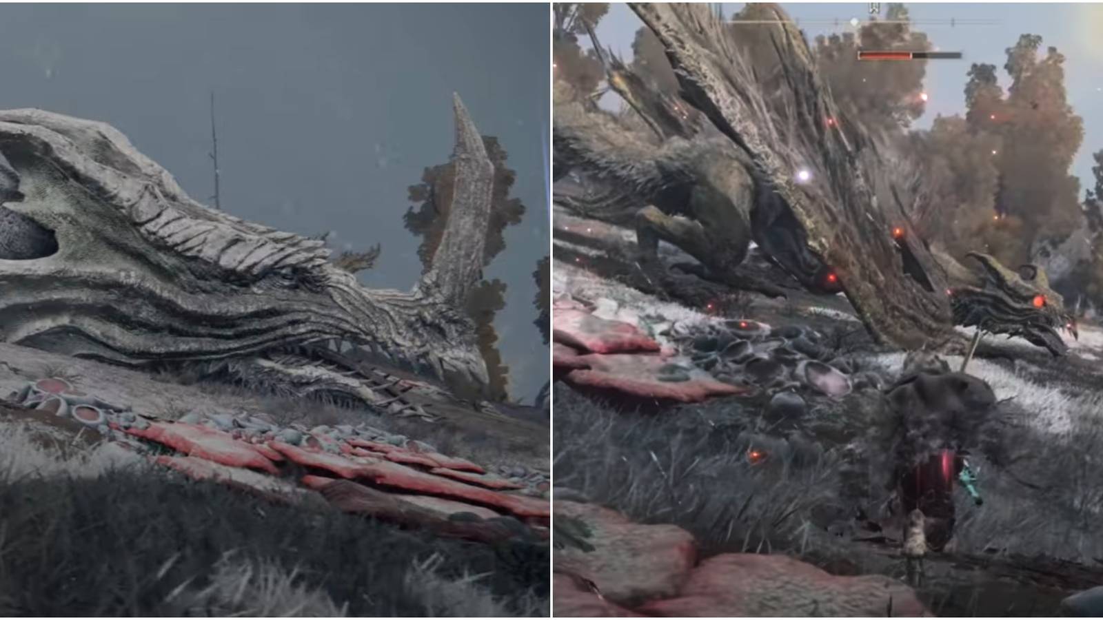 Elden Ring: Elder Dragon Greyoll Boss Guide