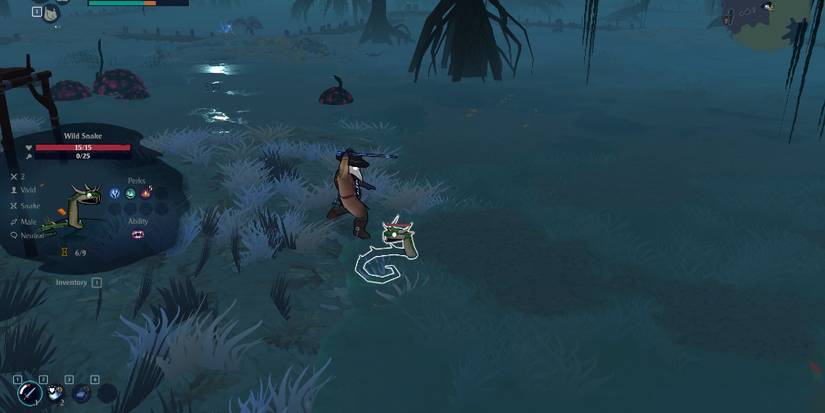 The Serpent Rogue: Tips For Beginners