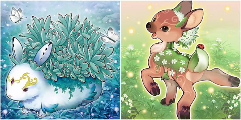 Yu-Gi-Oh!: The Best Beast Decks, Ranked