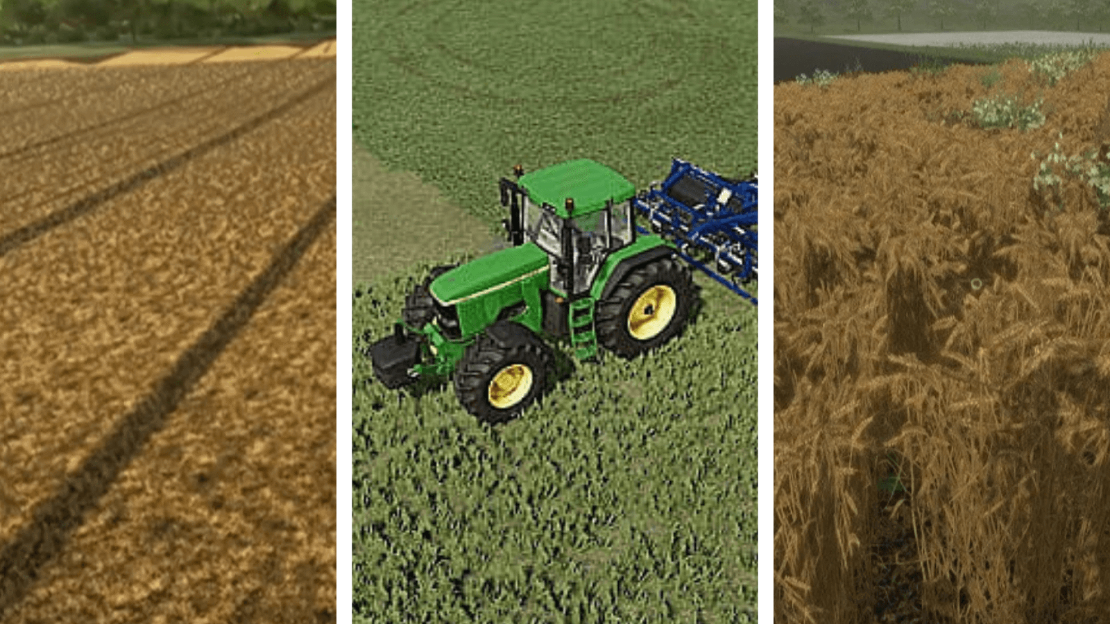 Which Crops Should I Plant First In Farming Simulator 22?
