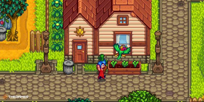 Stardew Valley: A Complete Guide To Marrying Emily