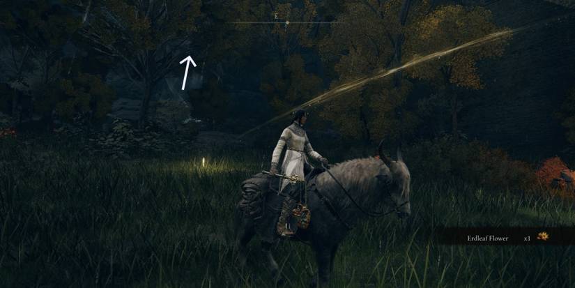 Elden Ring: Weeping Peninsula Complete Walkthrough