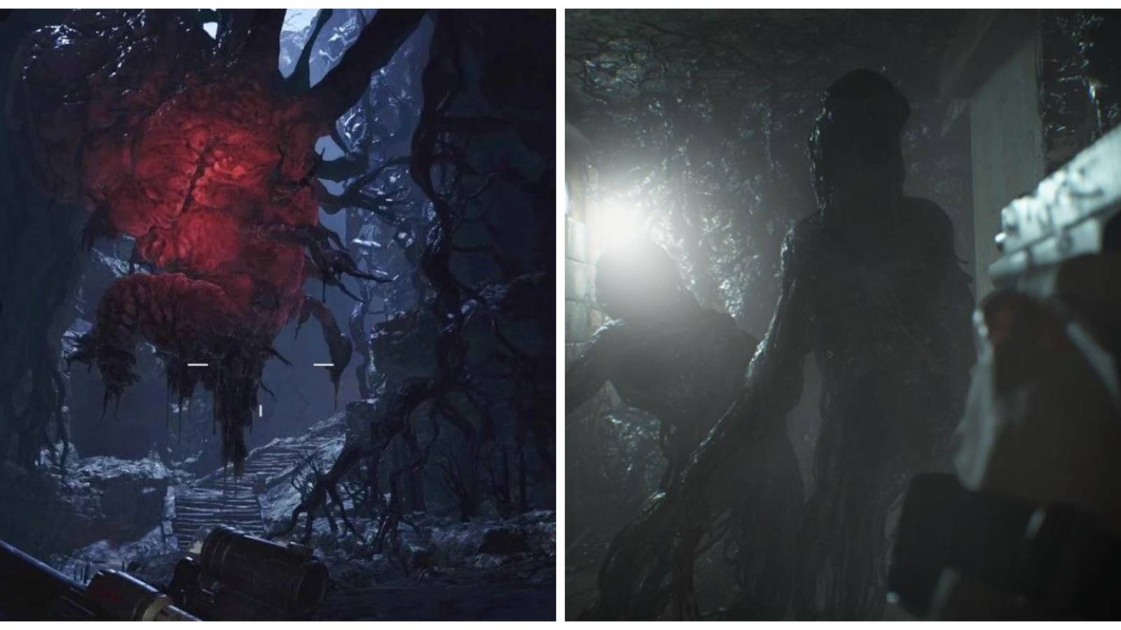 Where Did The Mold Come From In Resident Evil?