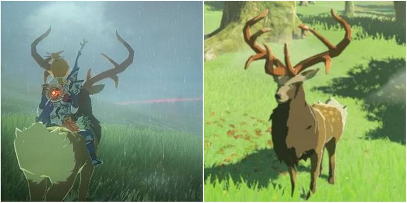 Zelda: BotW - Every Creature You Can Ride